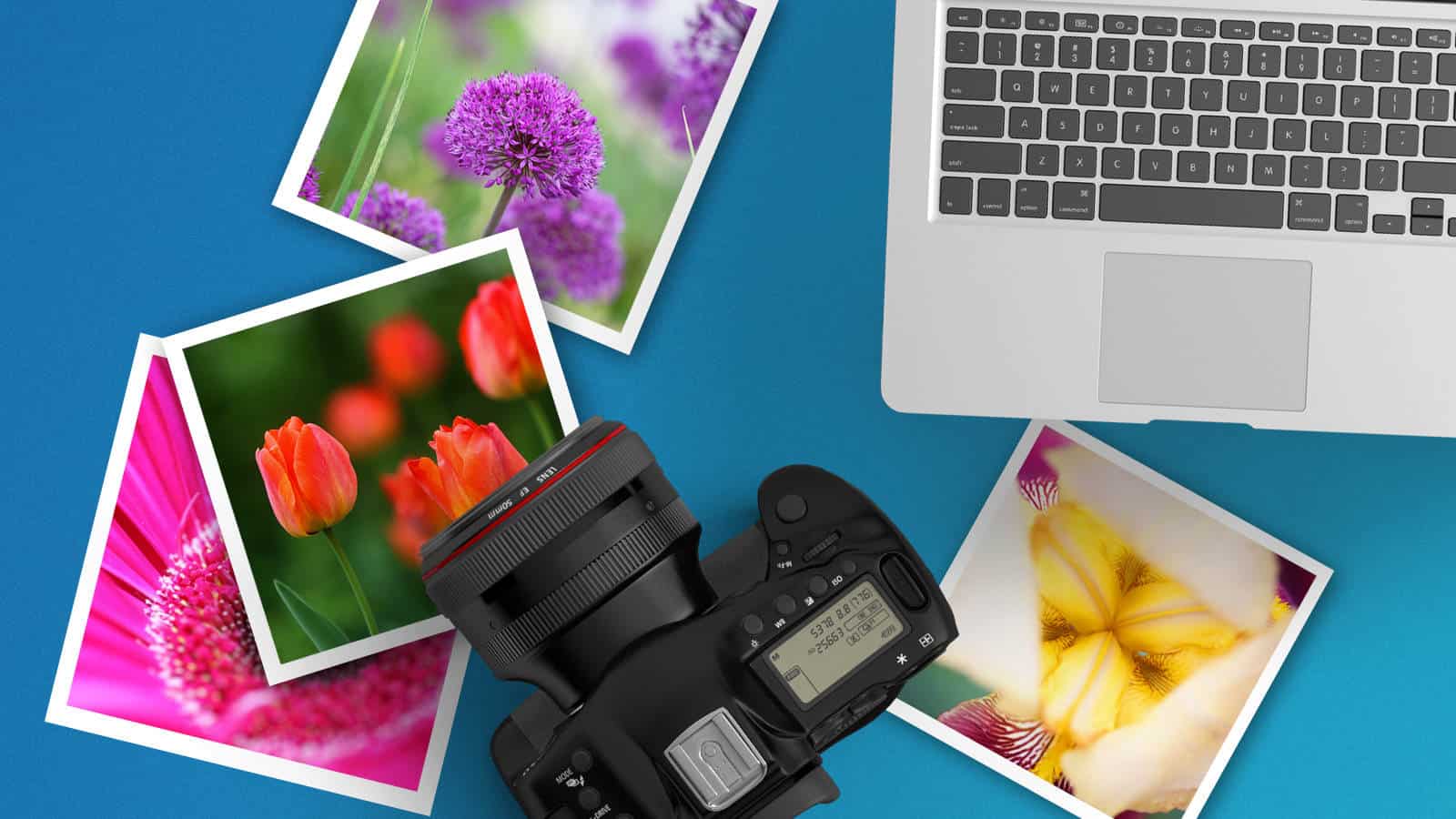 Learning Gifts for Grown-ups to make the perfect gift ~ The Gifty Girl