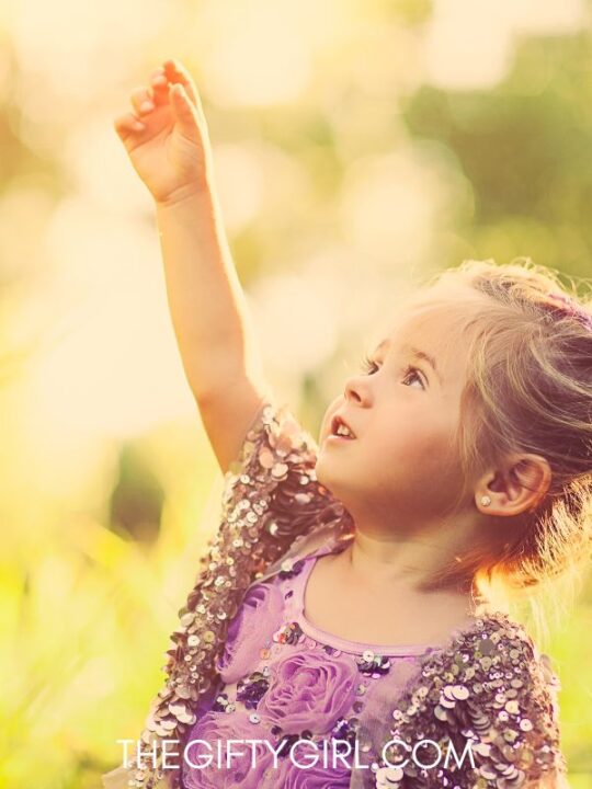 48 Gifts 2-year-old Girls will Adore ~ The Gifty Girl